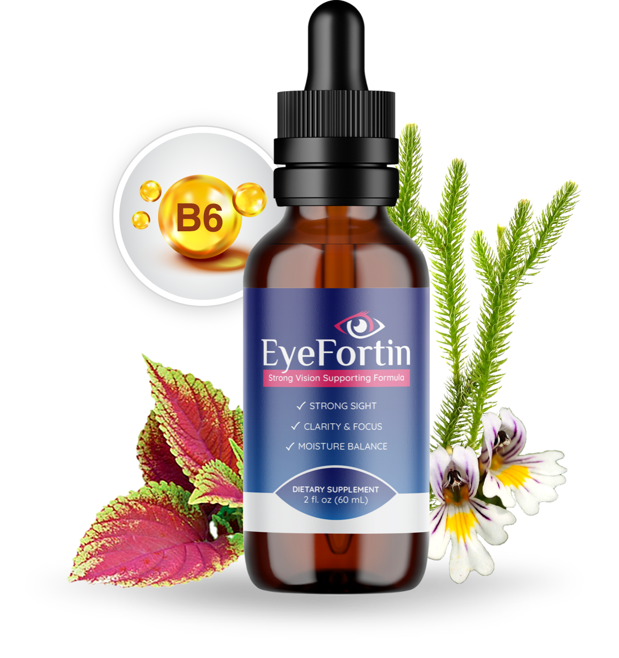 Vision & Eye Health - Supplement Tips